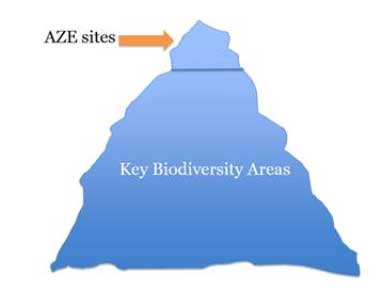AZE sites as Key Biodiversity Areas | Alliance for Zero Extinction