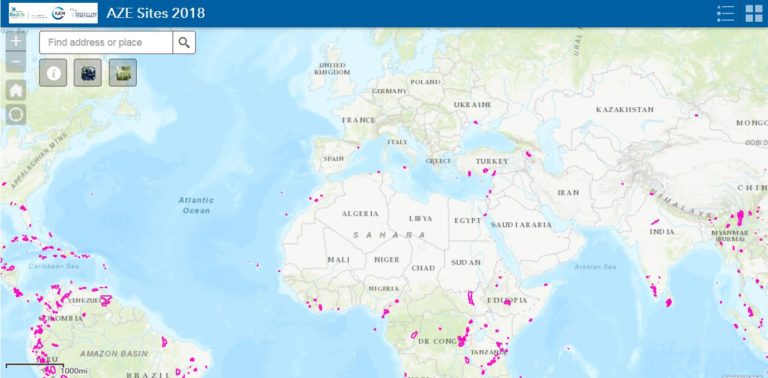 Alliance for Zero Extinction